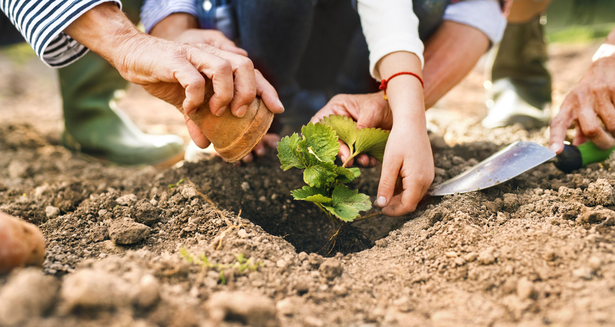 Family toolkit – Growing Good Habits